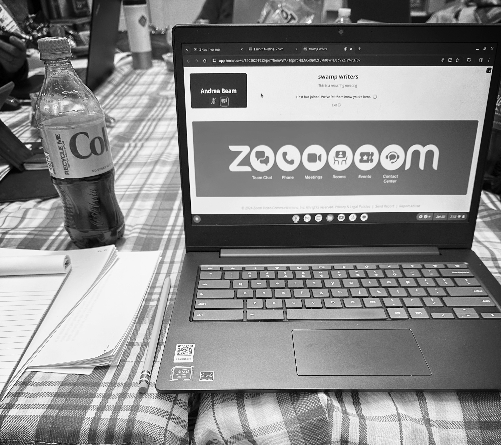 Swamp Writers – Andrea Beam